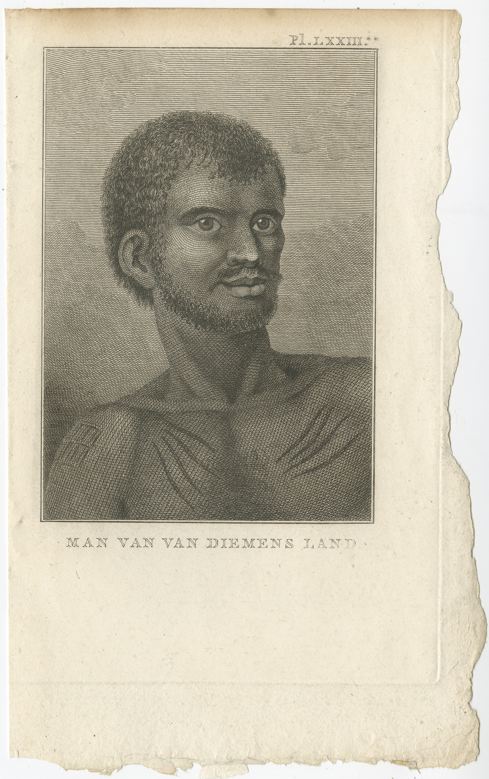 Man van Van Diemens Land - Cook (1803)