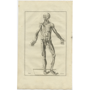 Antique Medical & Anatomy Prints - Buy Old Prints | Bartele Gallery ...